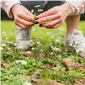 Wildplukken, wat zijn de regels? | Vegalifestyle Magazine