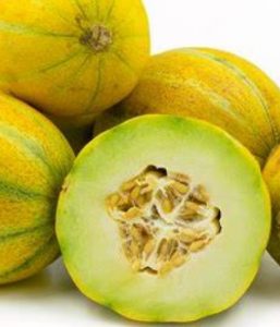 Meloen welke soorten zijn er? | Vegalifestyle Magazine
